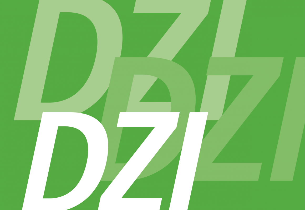 Deutsches Zentralinstitut für soziale Fragen - DZI