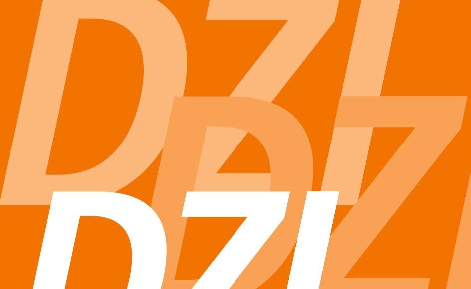 Deutsches Zentralinstitut für soziale Fragen - DZI